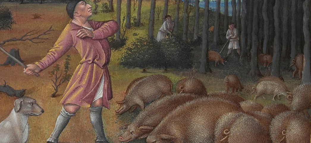 November – The Postgrad Chronicles